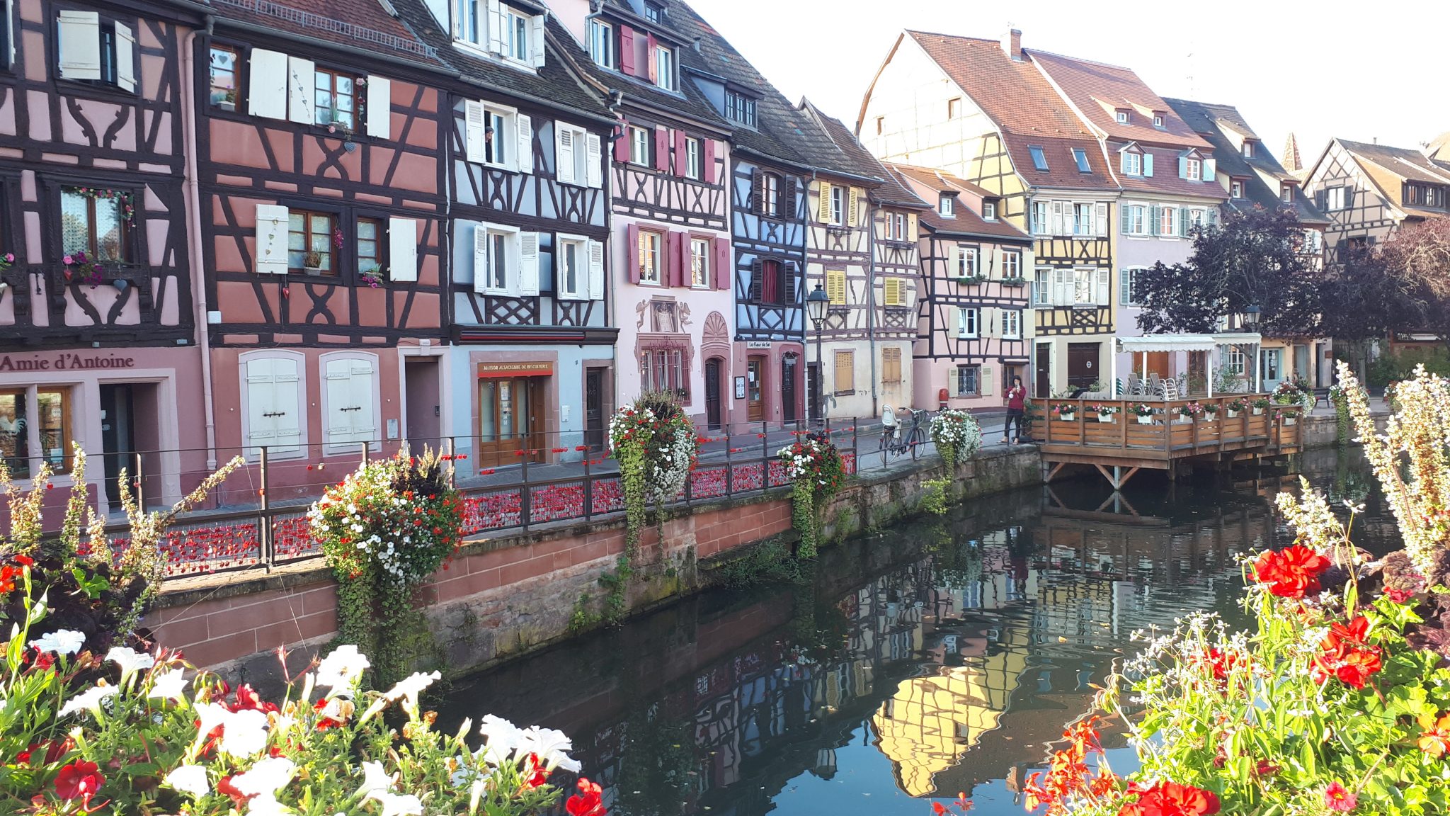 Visite guidée Colmar, capitale des vins d'Alsace en 7 étapes