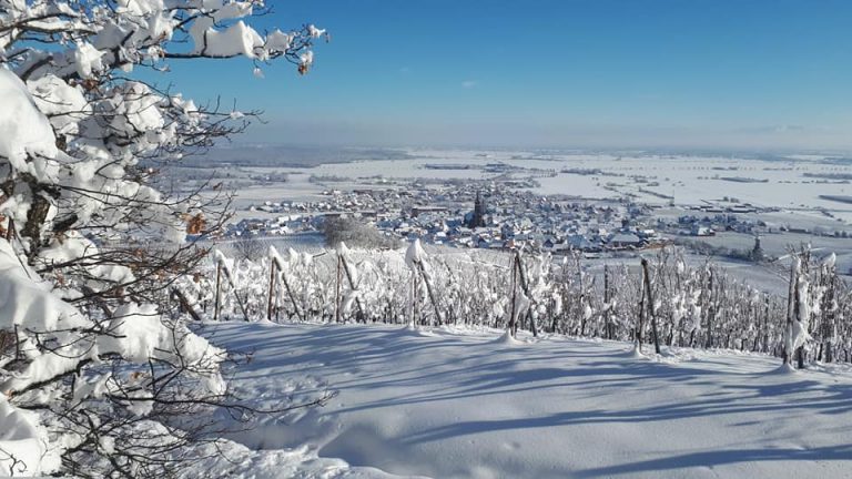 Conseils pour visiter l'Alsace par une guide professionnelle